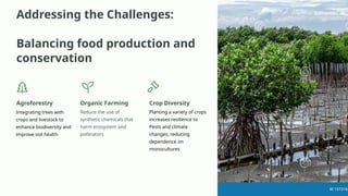 biodiversity conservation challenges.pptx