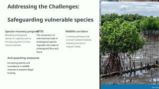 biodiversity conservation challenges.pptx
