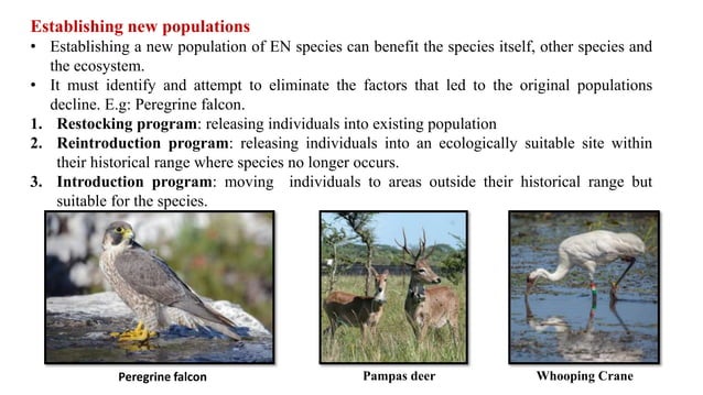 Biodiversity conservation strategies | PPTX | Biological Sciences | Science