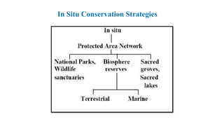 Biodiversity conservation strategies | PPTX
