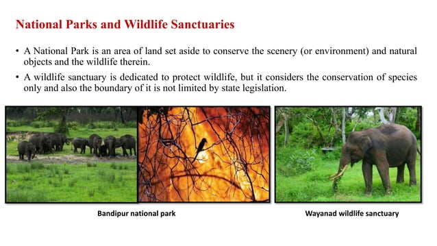 Biodiversity conservation strategies | PPTX | Biological Sciences | Science