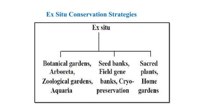 Biodiversity conservation strategies | PPTX | Biological Sciences | Science