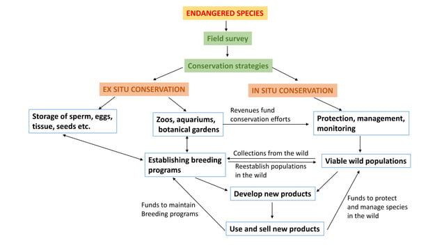 Biodiversity conservation strategies | PPTX | Biological Sciences | Science