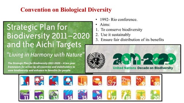 Biodiversity conservation strategies | PPTX | Biological Sciences | Science