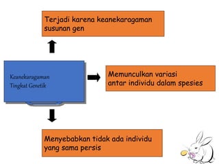 biodiversity_dan_klasifikasi_makhluk_hid.pptx