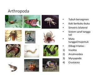 biodiversity_dan_klasifikasi_makhluk_hid.pptx