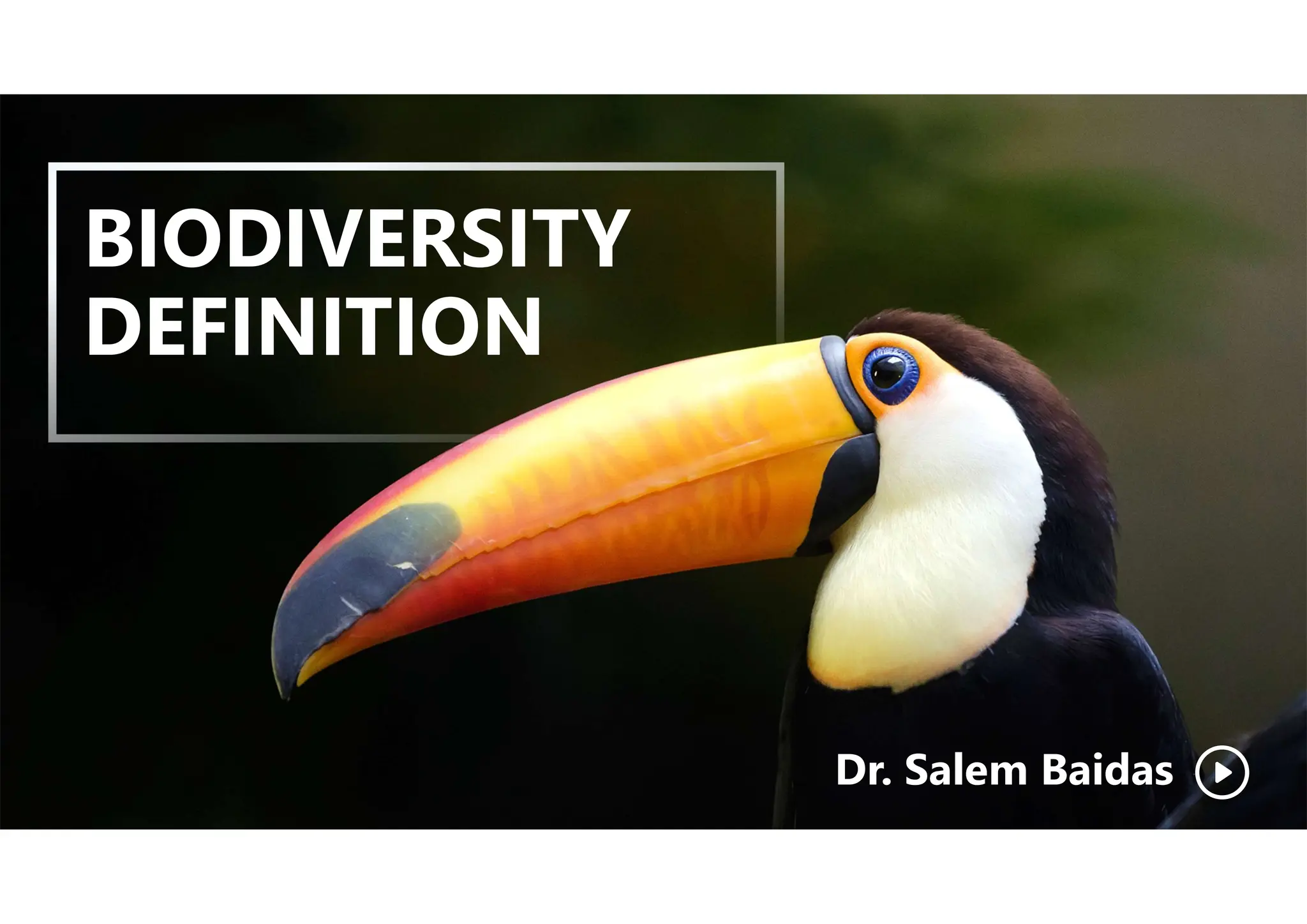 Biodiversity Definition | PDF