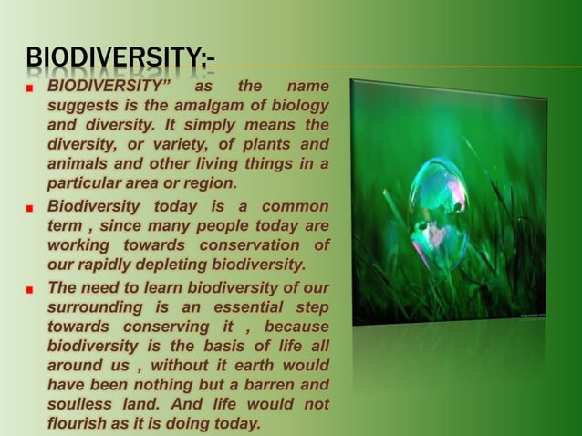 Biodiversity dissertation | PPTX