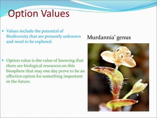 BIODIVERSITYDrKDSawant_about biodiversity | PPT