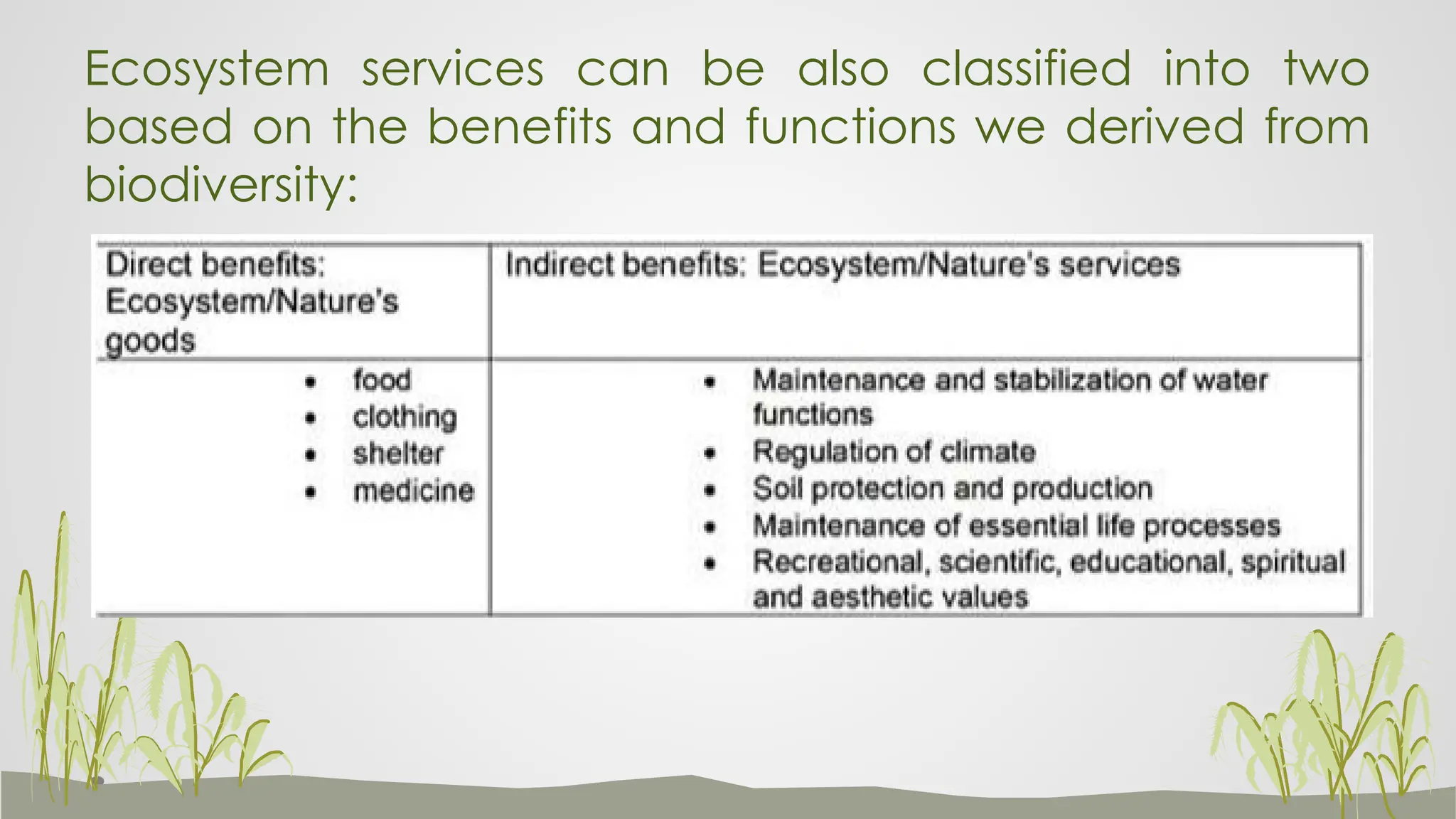 BIODIVERSITY, ECOSYSTEM STABILITY, ENDANGERED SPECIES ACTS.pptx