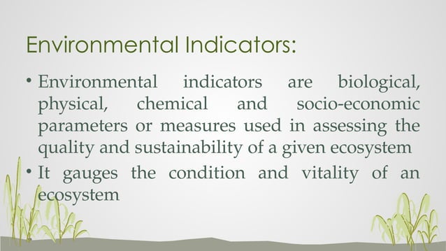 BIODIVERSITY, ECOSYSTEM STABILITY, ENDANGERED SPECIES ACTS.pptx
