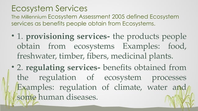 BIODIVERSITY, ECOSYSTEM STABILITY, ENDANGERED SPECIES ACTS.pptx