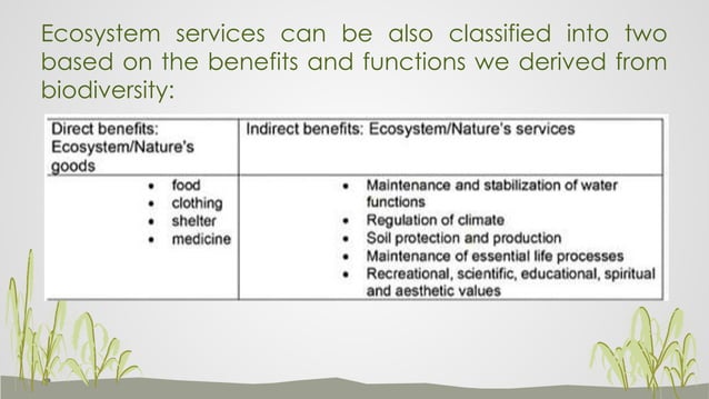 BIODIVERSITY, ECOSYSTEM STABILITY, ENDANGERED SPECIES ACTS.pptx