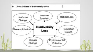 BIODIVERSITY, ECOSYSTEM STABILITY, ENDANGERED SPECIES ACTS.pptx