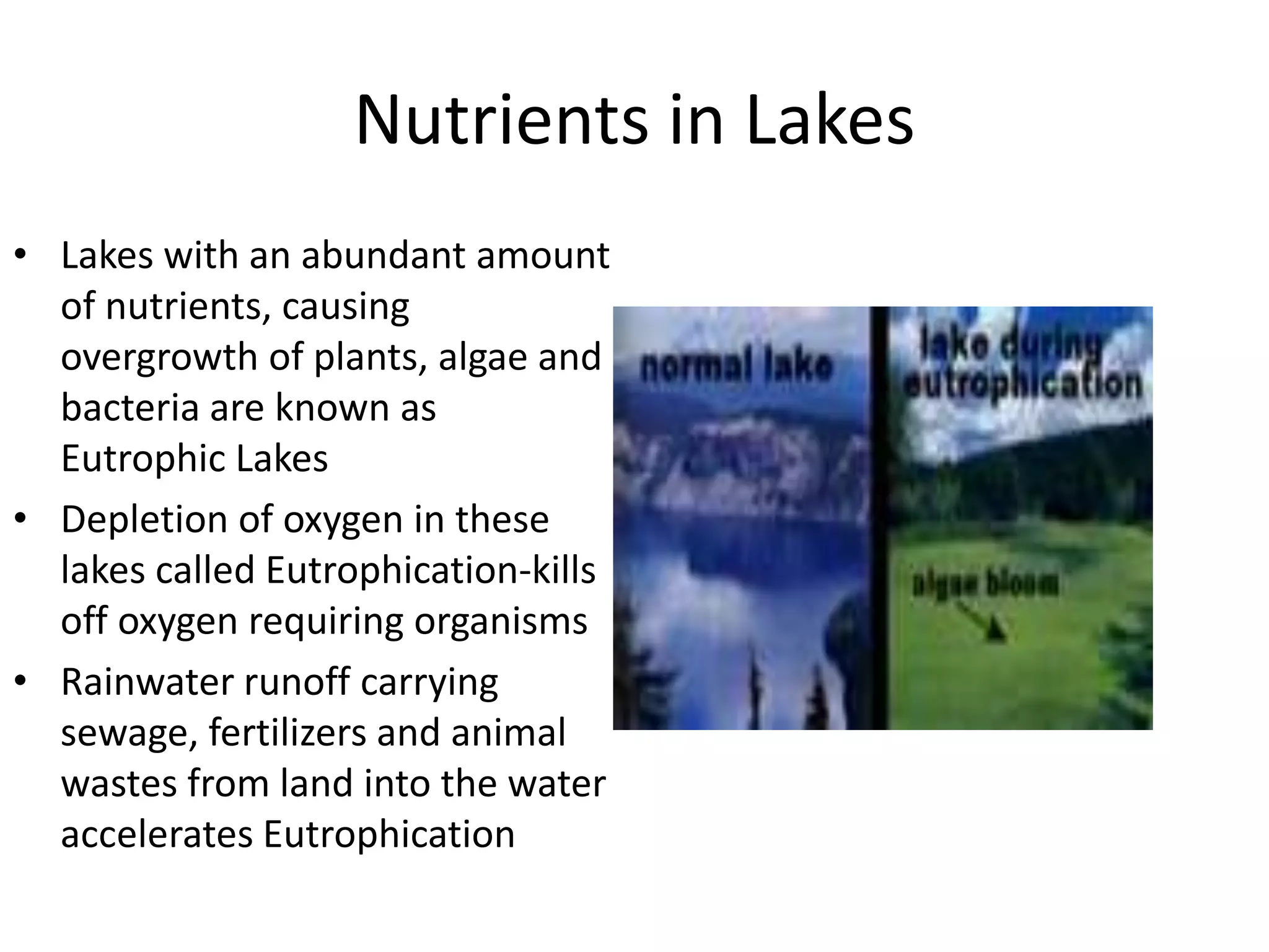 Biodiversity And Ecosystem Types Class Notes 4 Ppt