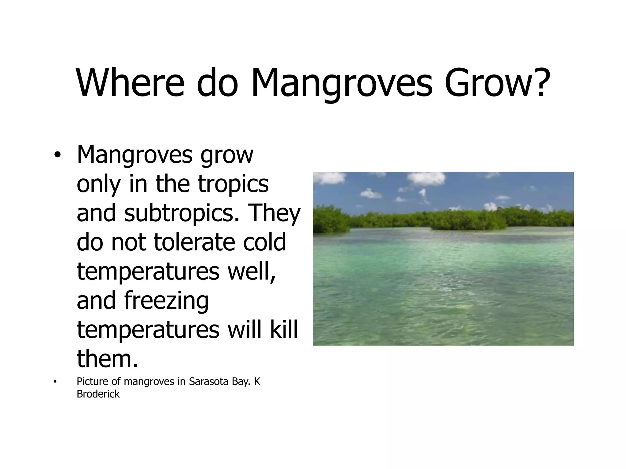 Biodiversity And Ecosystem Types Class Notes 4 Ppt