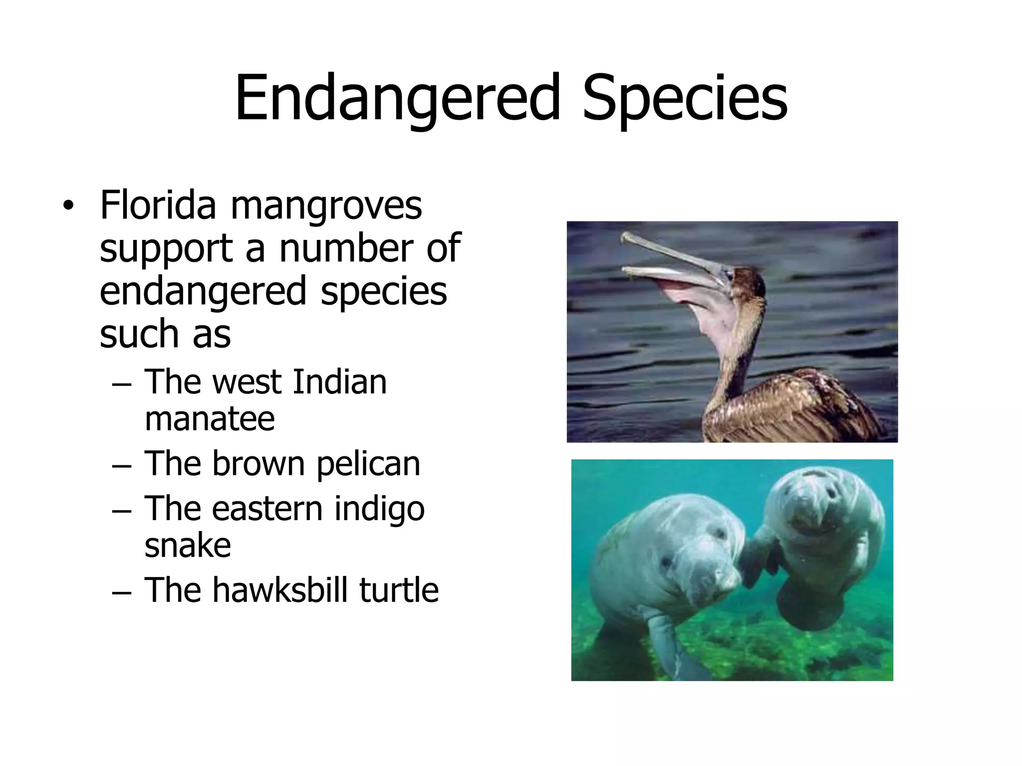 Biodiversity And Ecosystem Types Class Notes 4 Ppt