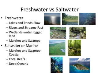 biodiversity & Ecosystem types class notes 4.ppt