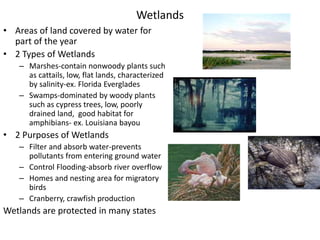 biodiversity & Ecosystem types class notes 4.ppt
