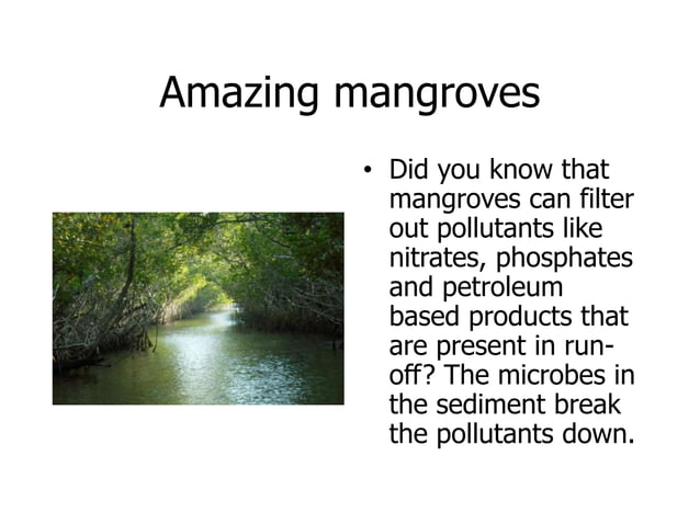 Biodiversity And Ecosystem Types Class Notes 4 Ppt