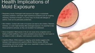 Unveiling the Silent Intruder: Recognizing the Signs of Mold Exposure ...