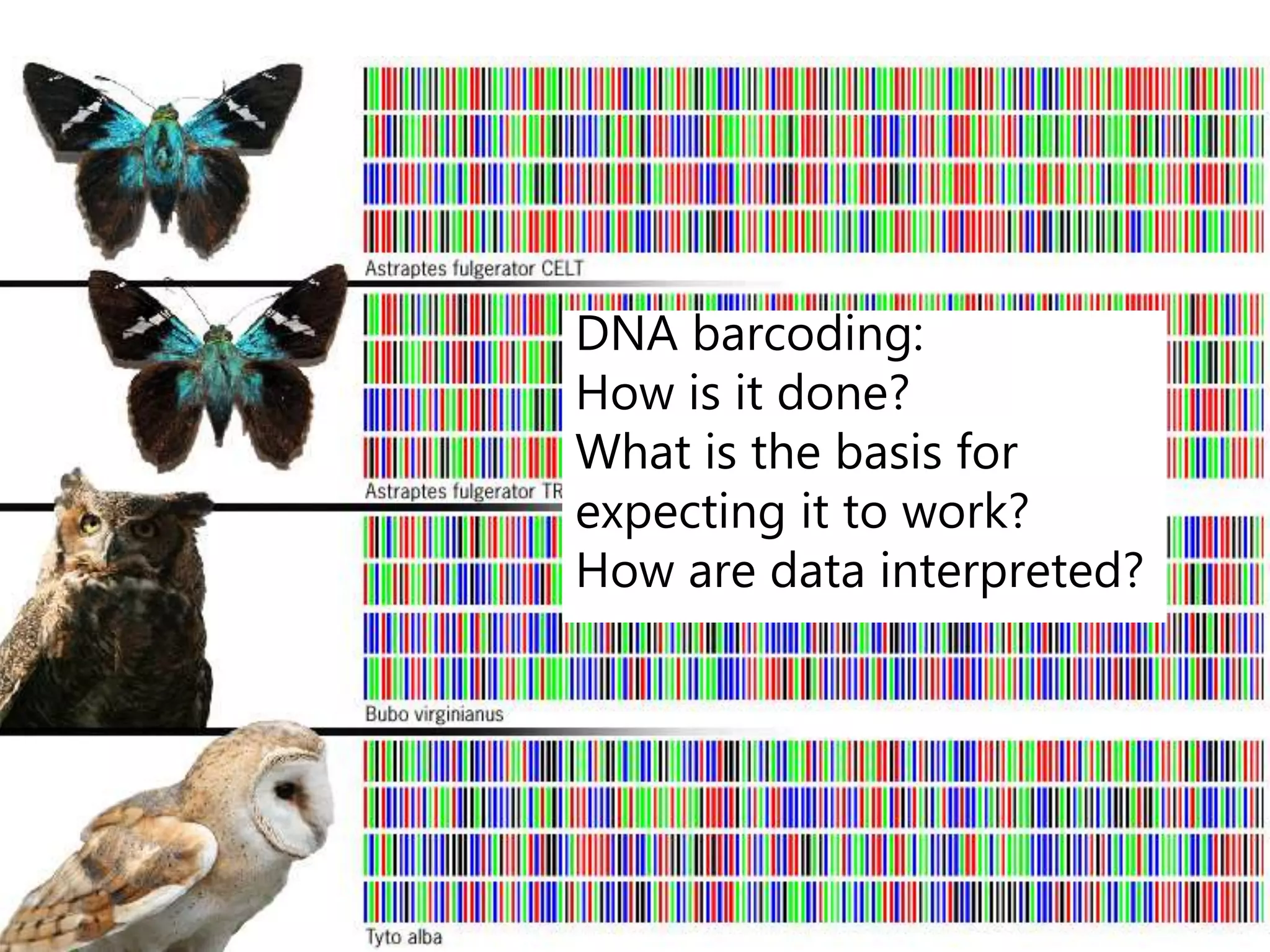 Biodiversity electurespecies and DNA Barcoding handout.pptx