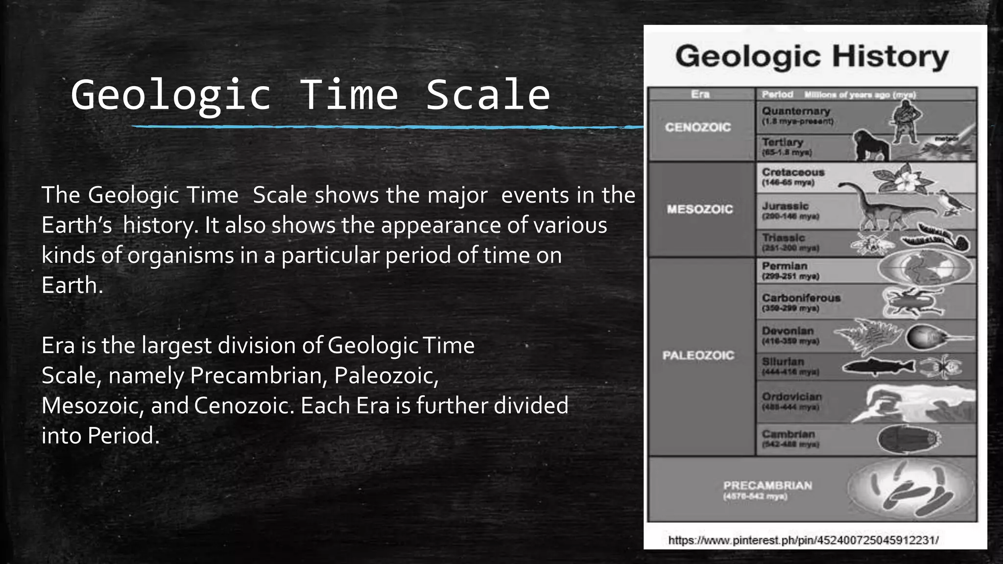 Biodiversity & Evolution.pptx