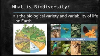 Biodiversity & Evolution.pptx