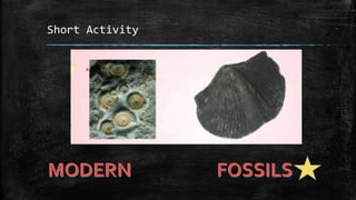 Biodiversity & Evolution.pptx