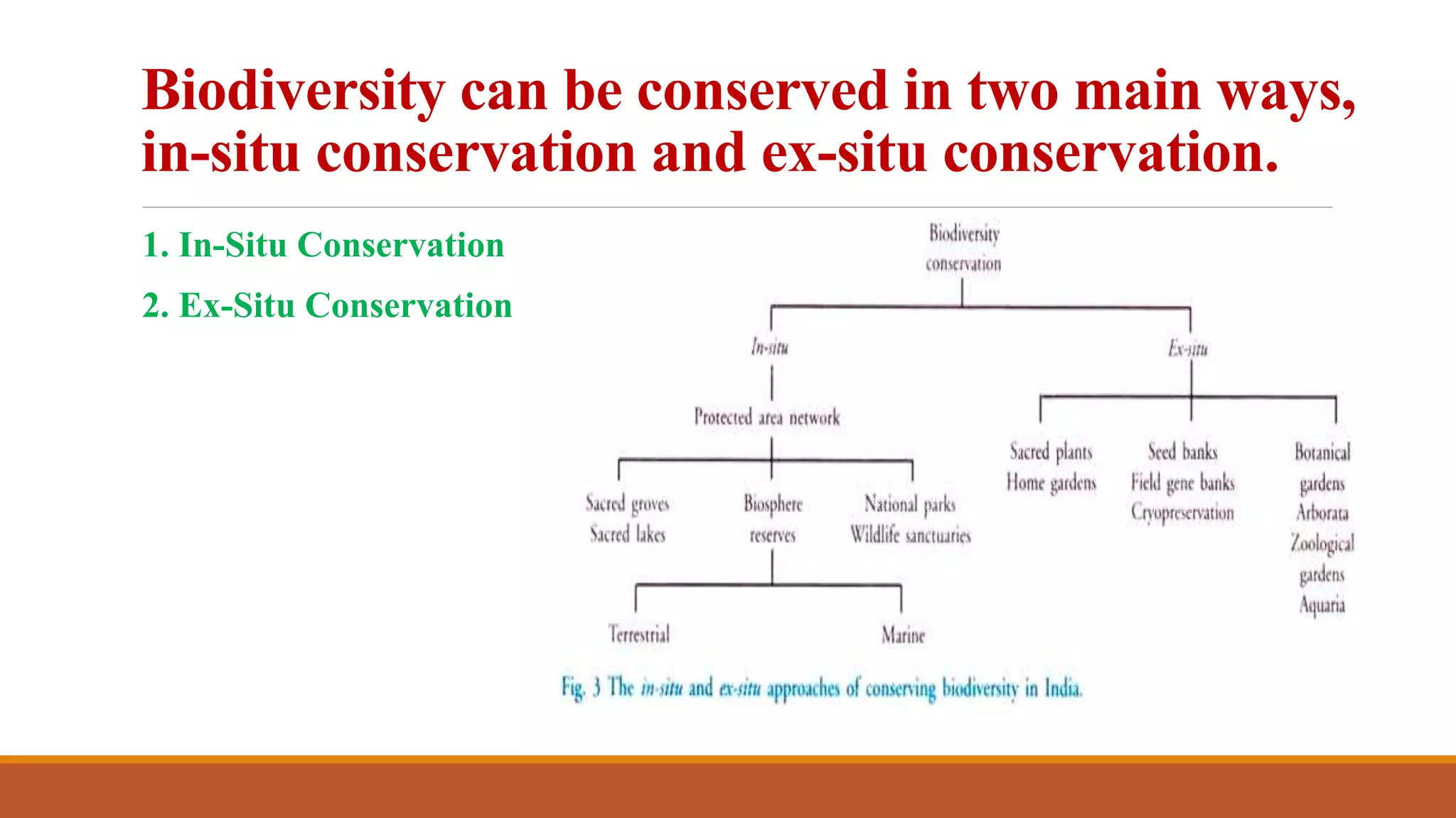 Biodiversity -edex situ and in situ conservation | PPTX
