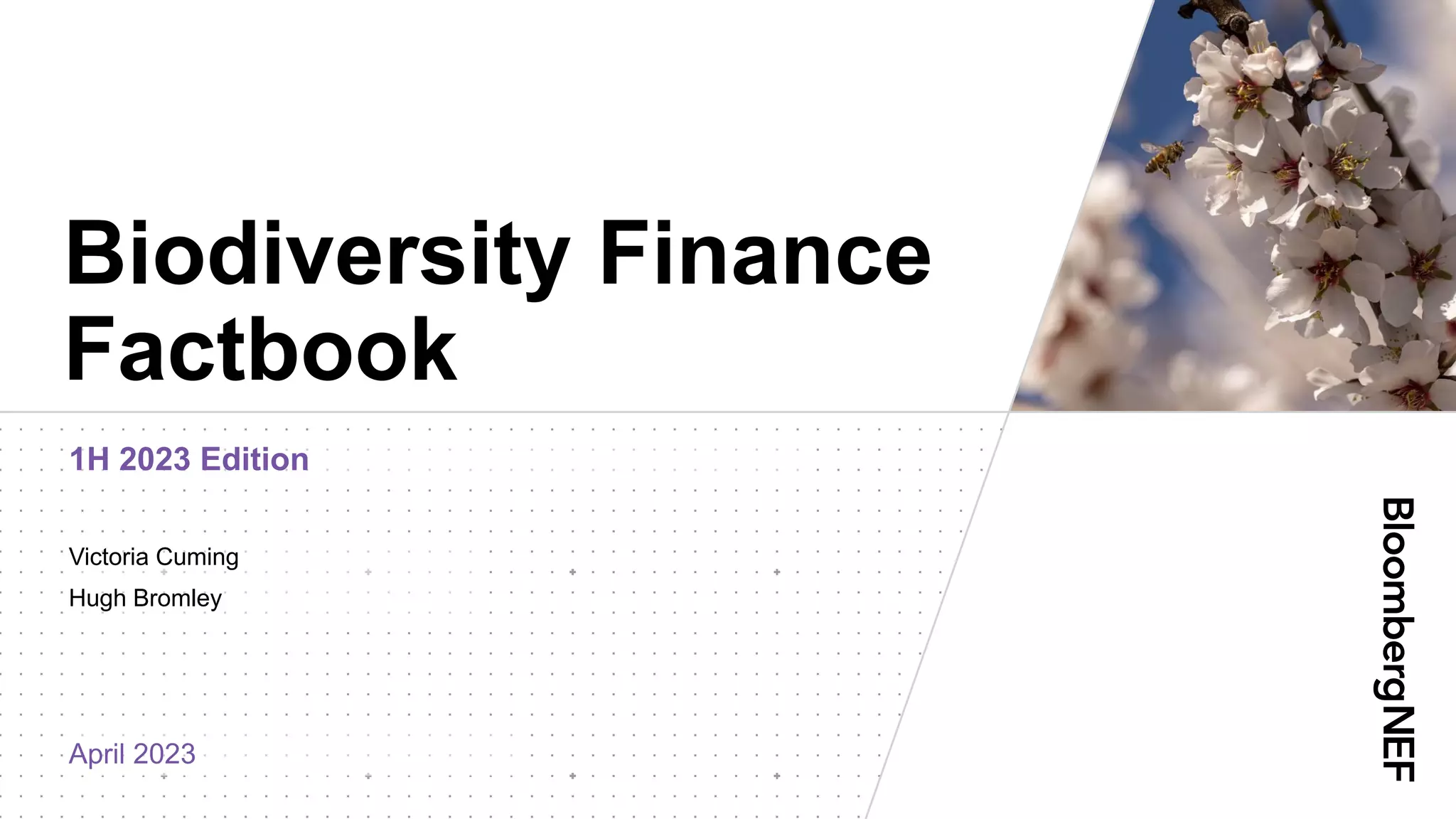 Biodiversity_Finance_Factbook_BloombergNEF_1680854688.pdf