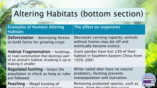 Biodiversity Foldable Instructions.pptx
