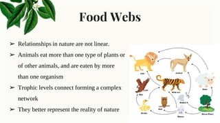 Biodiversity_food chains.pptx