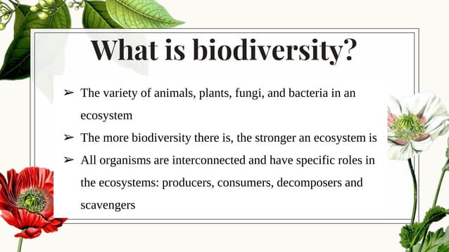 Biodiversity_food chains.pptx