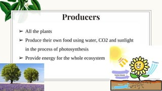 Biodiversity_food chains.pptx