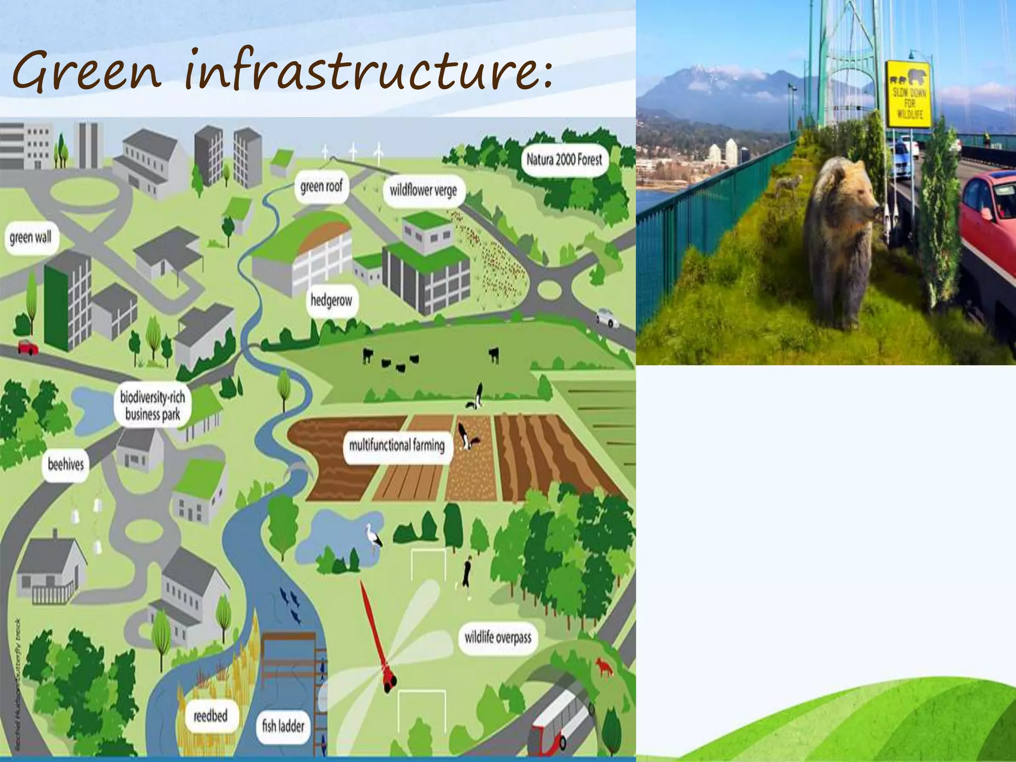 Biodiversity for sustainability | PPT