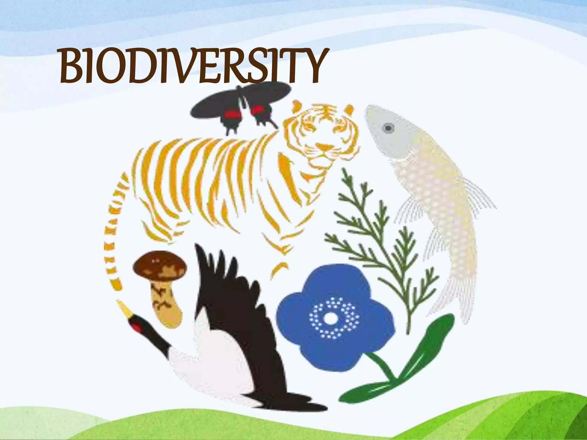 Biodiversity for sustainability | PPT