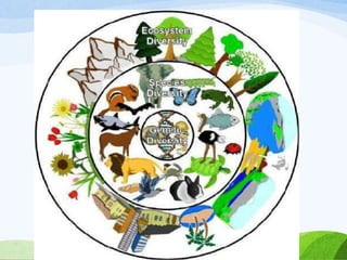 Biodiversity for sustainability | PPT