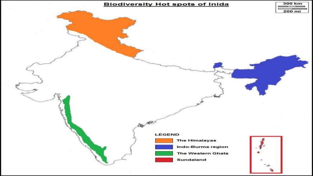 Biodiversity hotspot in india | PPTX