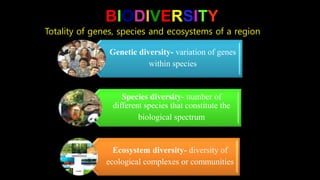 Biodiversity hotspots | PPTX