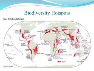 Biodiversity and Hot spots | PPTX