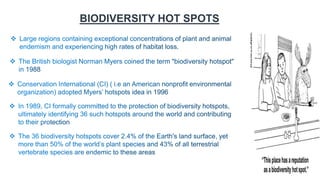 Biodiversity hotspots & top hotspots around the world | PPTX | South ...