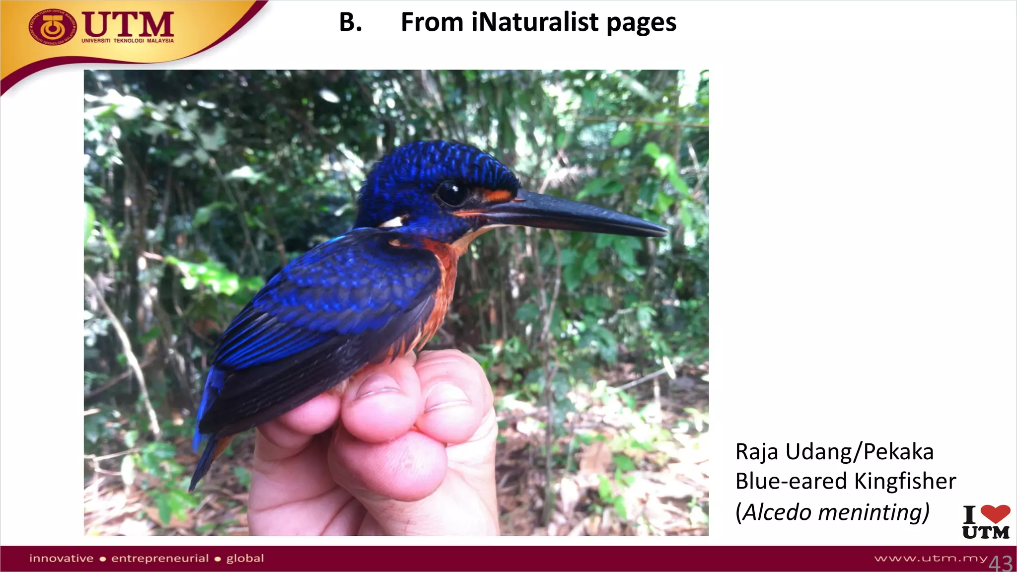 Biodiversity_iNaturalist_Crowdsourcing.pdf
