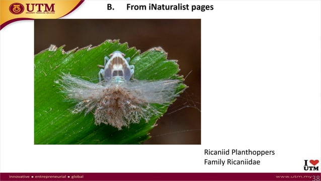 Biodiversity_iNaturalist_Crowdsourcing.pdf