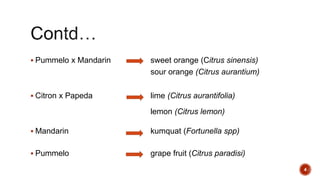 Biodiversity in citrus | PPTX