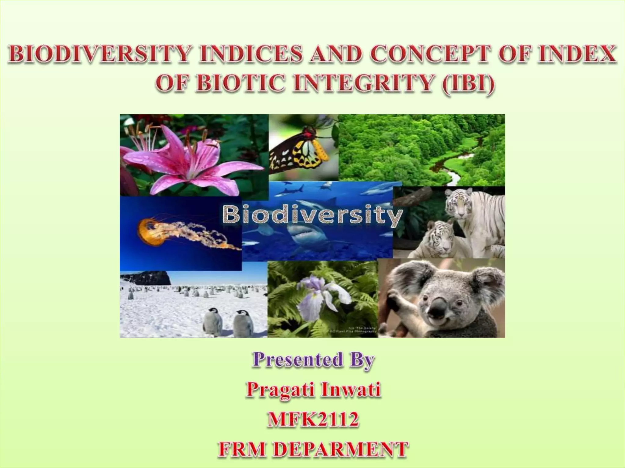 biodiversity indices ppt.pptx