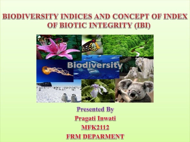 biodiversity indices ppt.pptx