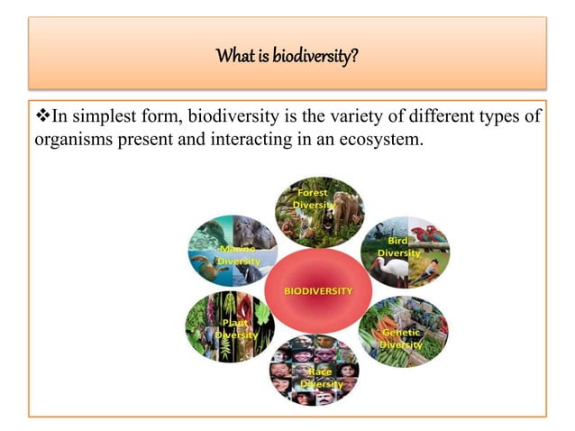 biodiversity indices ppt.pptx