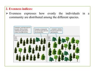 biodiversity indices ppt.pptx