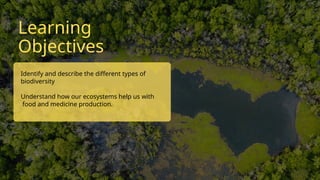 Biodiversity in Ecosystems Educational Presentation in Colorful ...